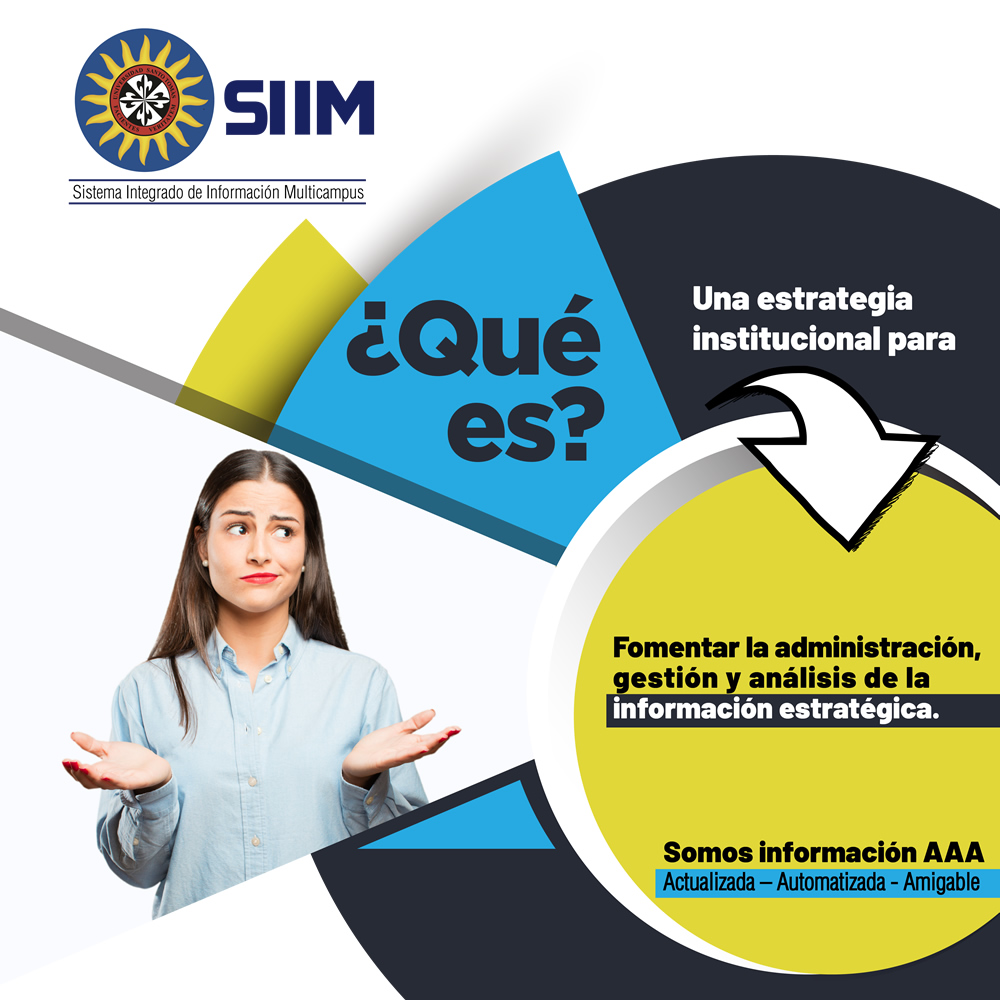 SIIM | USTA - ACERCA DEL SIIM